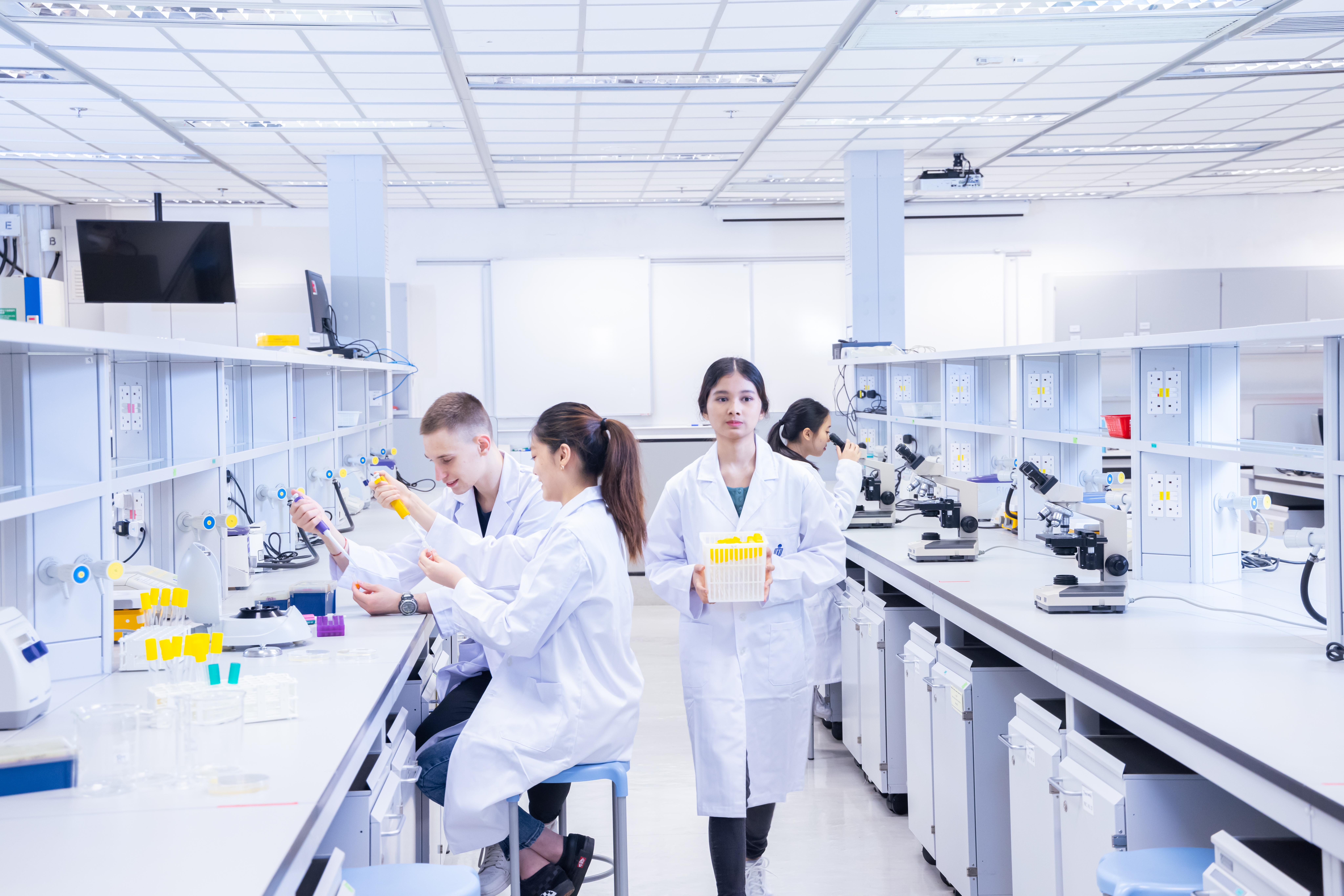 Lab Types Lab Portal 3033